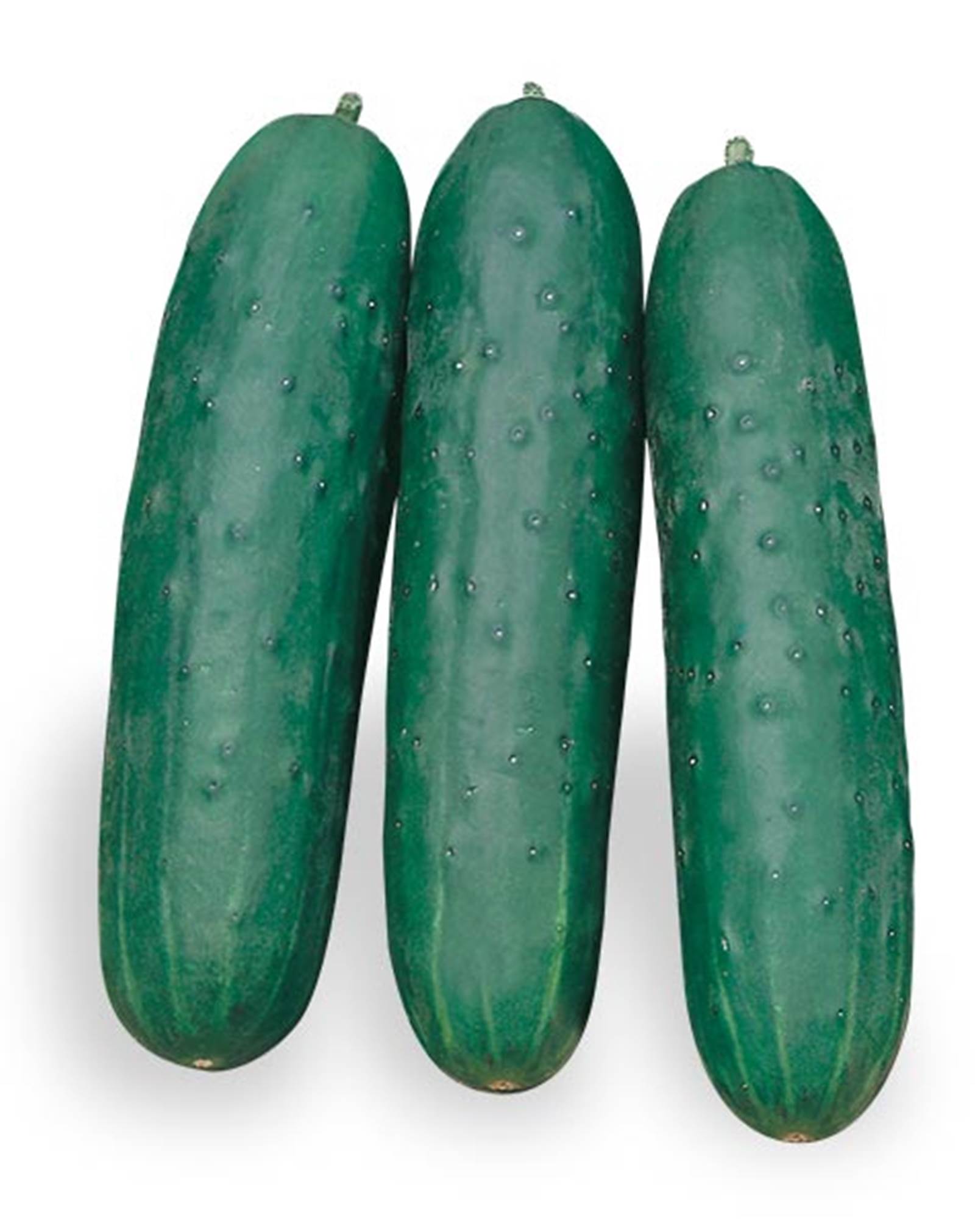 Cetriolo